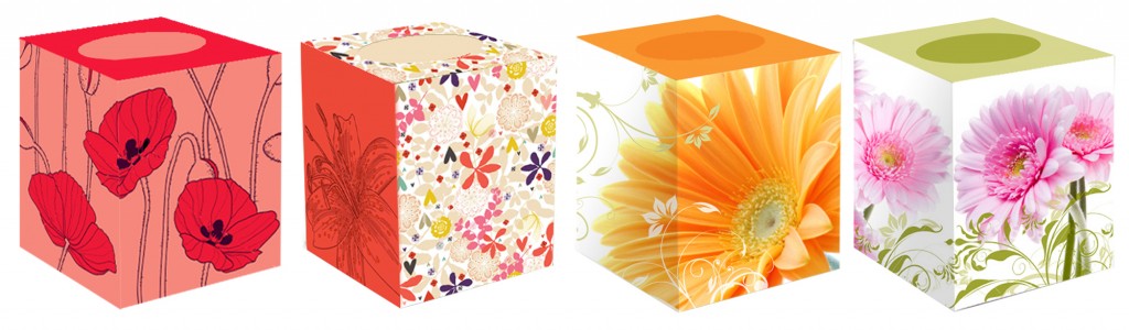 Tissue Box Design Exploration | Arena Design